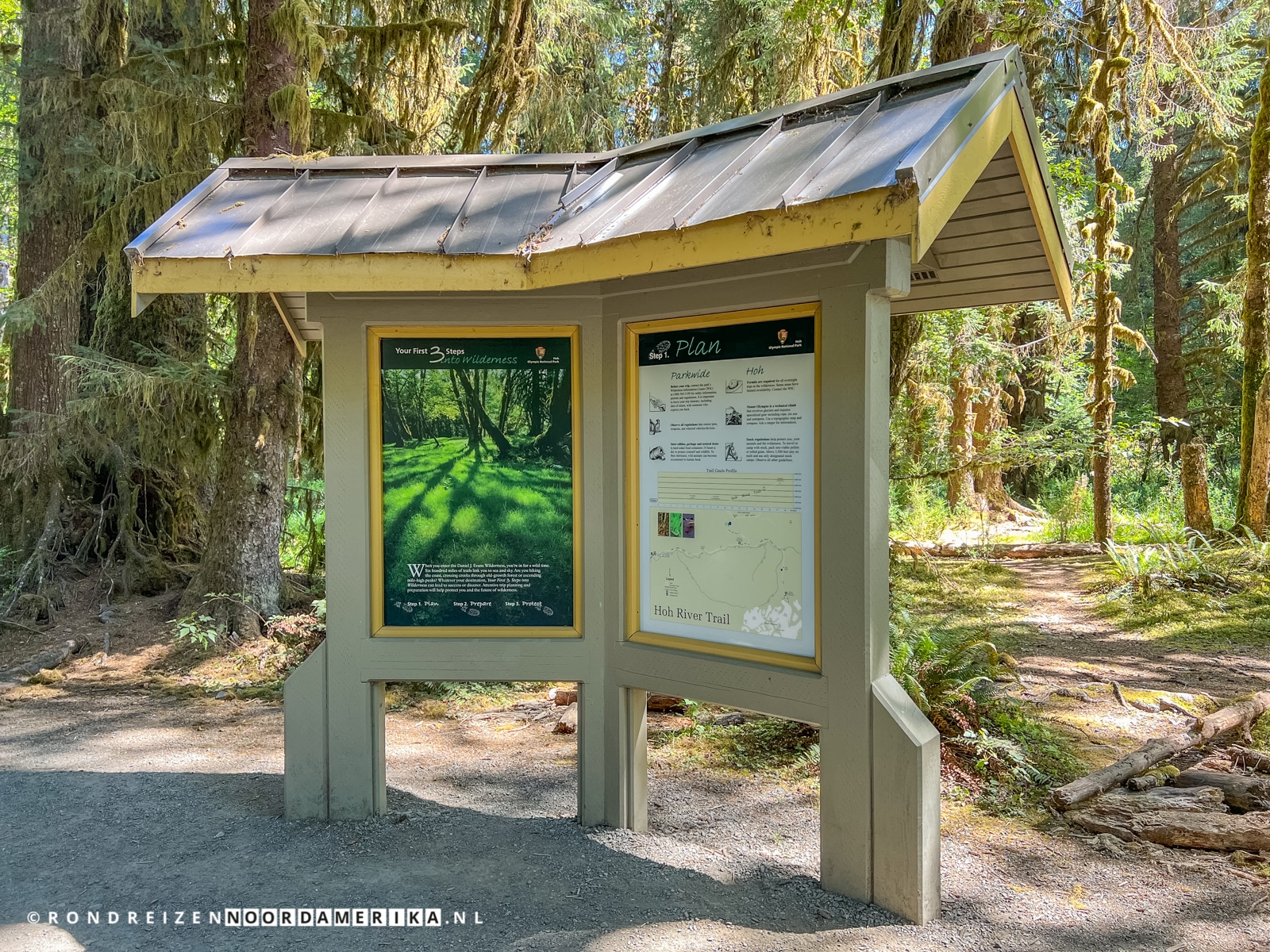 Hoh Rainforest Olympic NP | Rondreizen Noord-Amerika